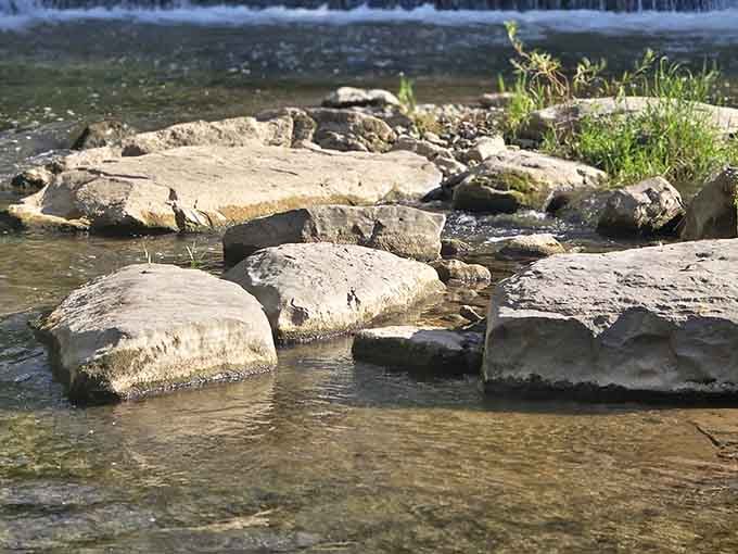 These limestone slabs tell stories millions of years old, when New York was beachfront property with better weather.