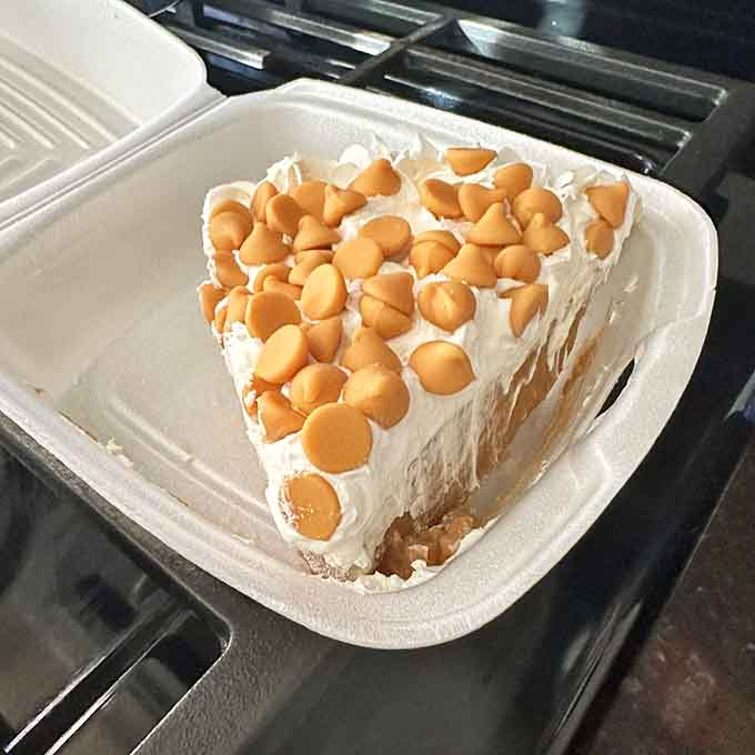 Dessert at a diner hits different, especially when it's topped with what appears to be pure happiness.