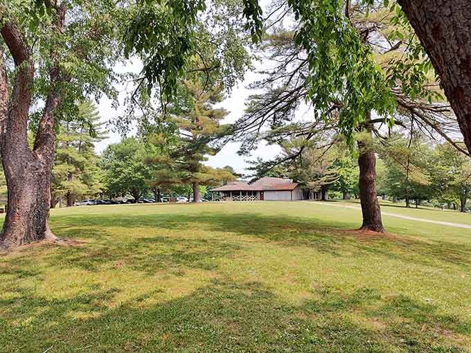 Open spaces where kids can run wild and parents can finally exhale without scheduling it first.