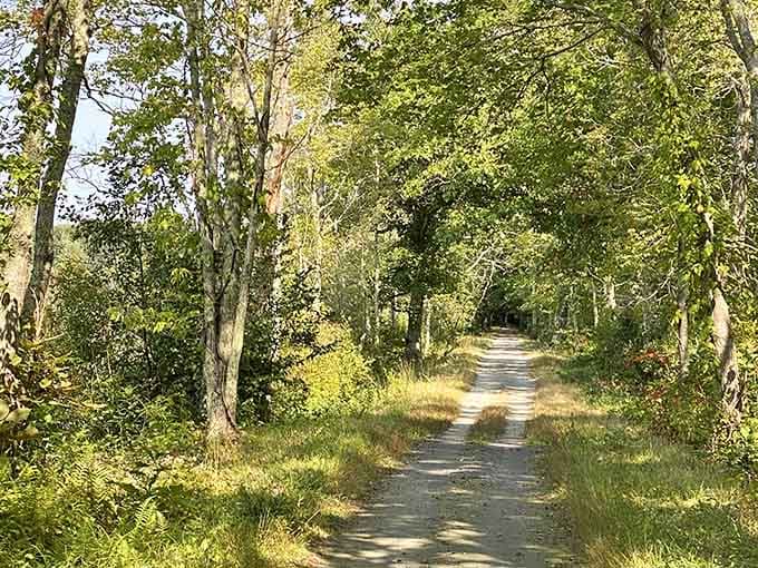 The Air Line Trail stretches through Colchester like nature's own highway, minus the traffic and road rage.