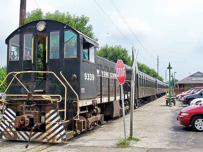 Vintage locomotives that actually operate, not just rust in museums, offering rides through countryside Instagram can't replicate.