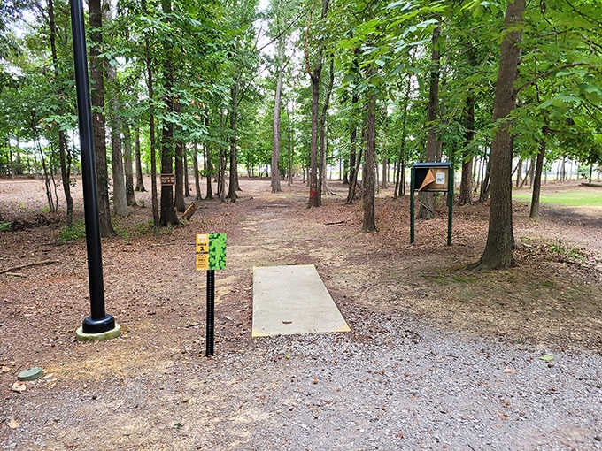 Heritage Park's disc golf course winds through trees where nature and recreation shake hands like old friends.