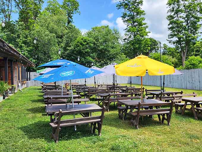 Picnic tables under colorful umbrellas on green grass turn any meal into a proper summer celebration worth remembering.