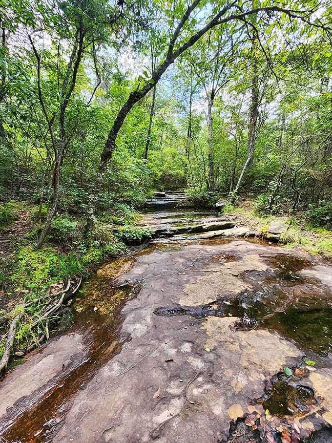 Shallow creeks reveal the rock layers beneath, like flipping through pages of Earth's oldest geology textbook.