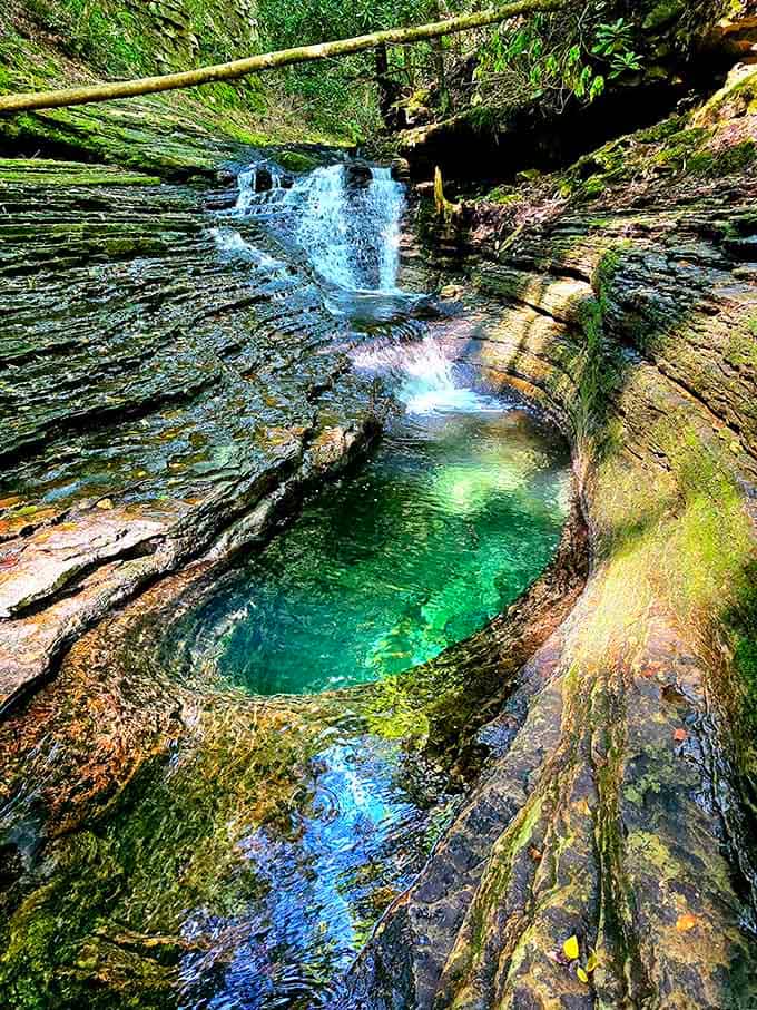 Turquoise water pools beneath small waterfalls, creating a scene so perfect you'll forget your legs are completely exhausted.