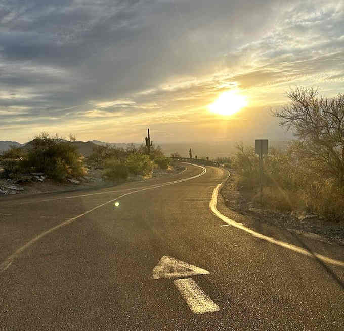 The winding road up Summit Road promises adventure around every curve, with views that improve by the minute.