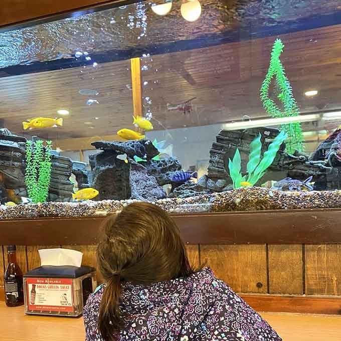 Even the fish tank adds charm, with colorful swimmers keeping diners entertained while they wait for their feast.