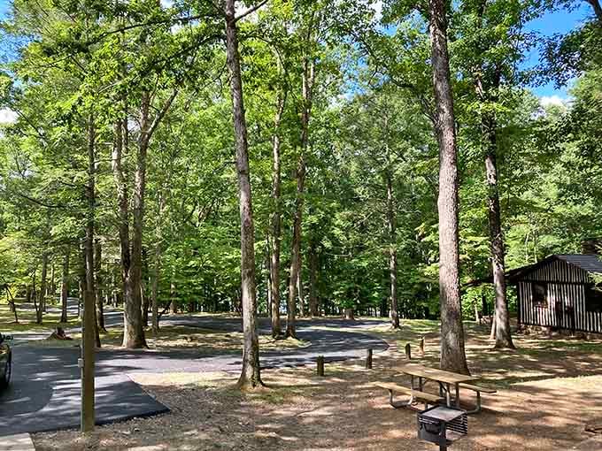 Picnic areas nestled among towering trees make every sandwich taste like it was prepared by a gourmet chef.