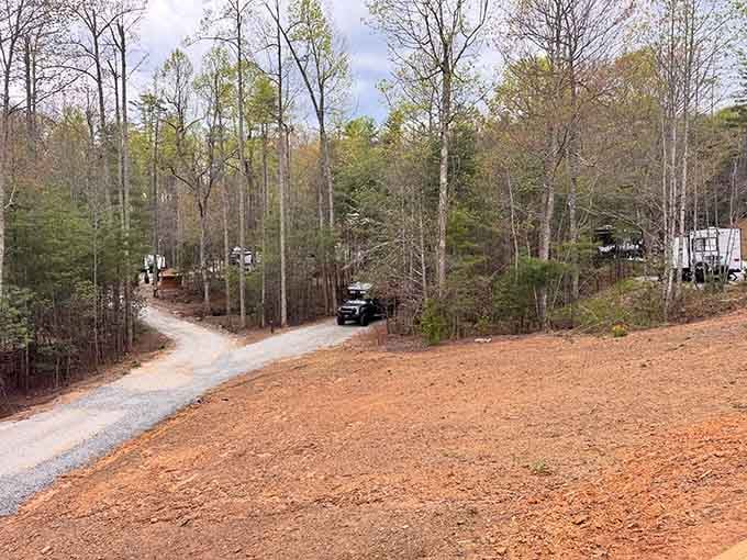 Gravel roads wind through the property, leading to your circular sanctuary tucked among the towering Carolina trees.