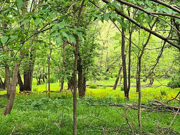Lush greenery creating natural corridors that invite exploration and provide peaceful escapes from everyday noise and chaos.