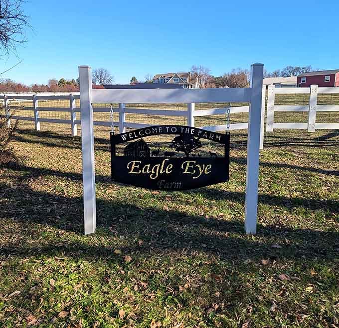 That elegant entrance sign promises the kind of authentic farm experience your grandparents remember fondly.