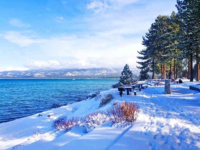 Winter blankets the beach in snow, proving paradise looks good in every season's wardrobe.