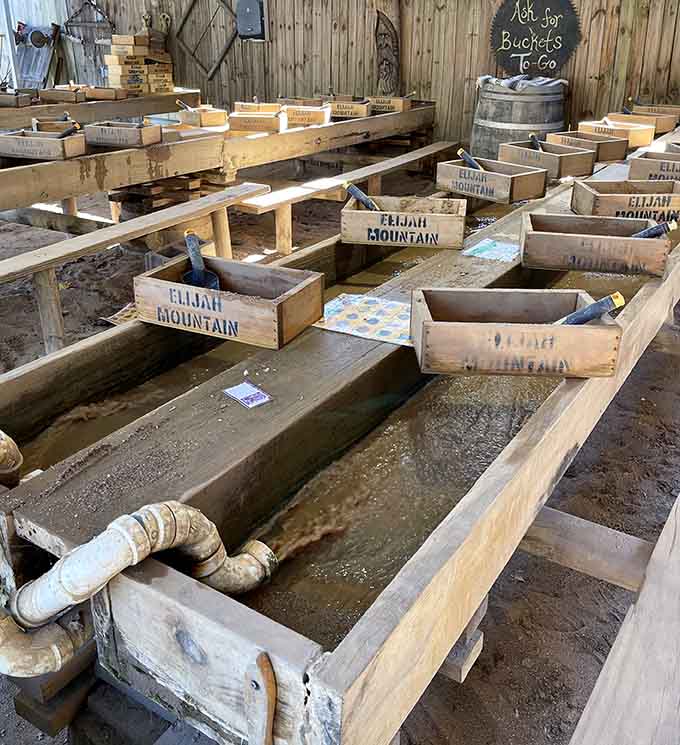 The flume line stretches out, a wooden highway to treasure that never gets old.