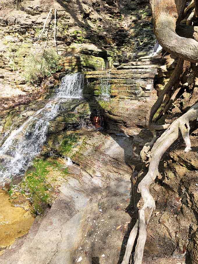 Moss-covered rocks and twisted tree trunks frame the tiered cascade, creating a scene straight from fantasy literature's pages.