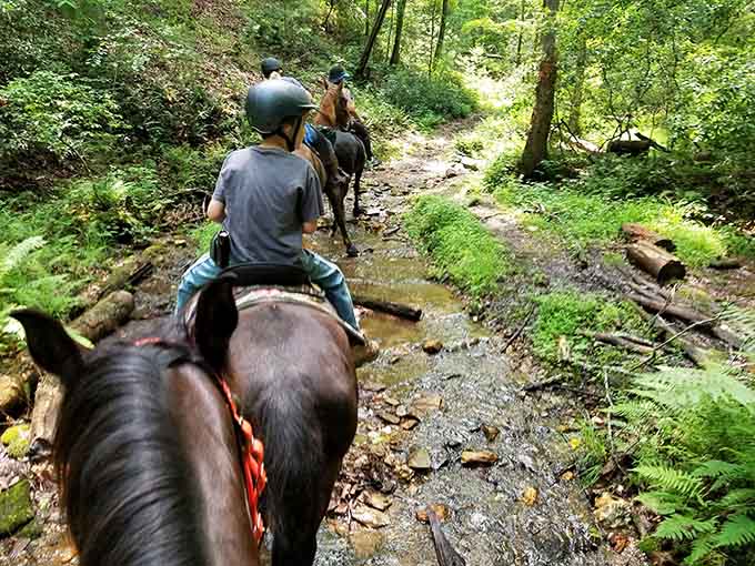 Trail riding through streams makes you feel like a cowboy, assuming cowboys wore helmets and sunscreen.