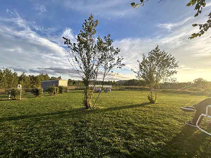 The surrounding grassland stretches toward the horizon, reminding diners that their meal literally grew in this beautiful Michigan soil.