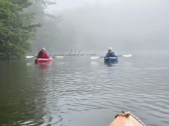Gliding through morning mist on calm water, these kayakers have found the reset button we're all searching for.