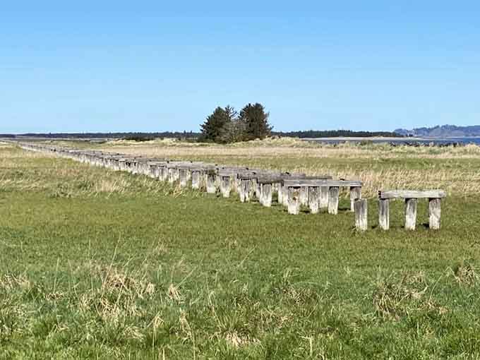 Old pilings march across the grassland like wooden soldiers who've long since forgotten what they were supposed to be guarding.