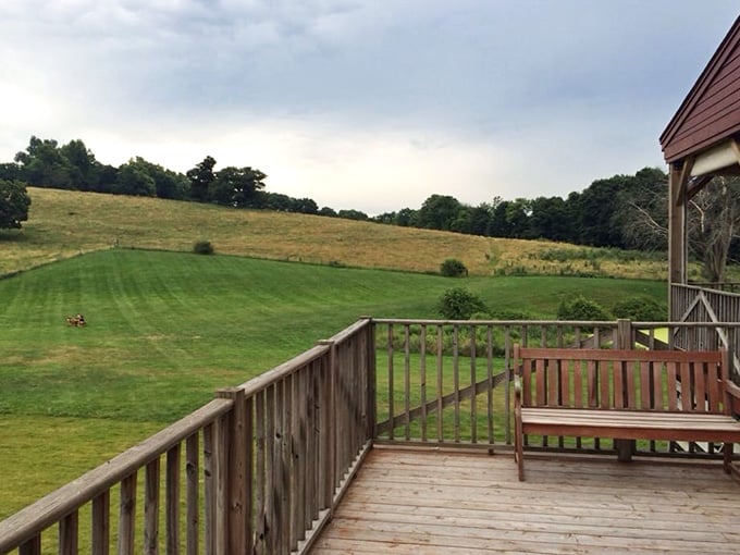 Views from the deck that remind you why people write songs about the countryside.