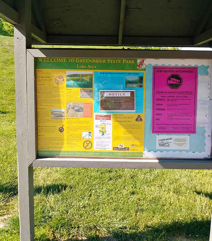 The information board shares everything you need to know, assuming you can resist the urge to just run straight to water.