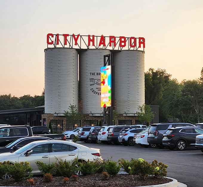 City Harbor's grain silos got a second life as a landmark, because why tear down when you can reimagine with style?