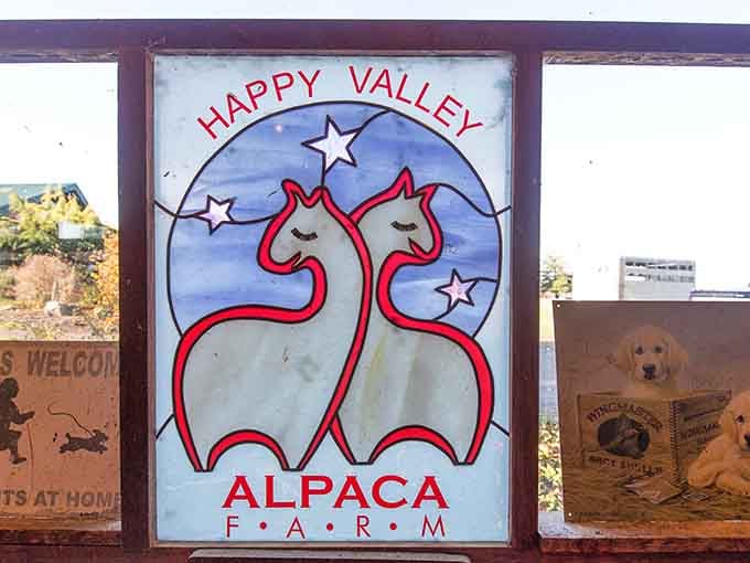The charming hand-painted sign welcomes visitors to a place where happiness and alpacas go hand in fluffy hand.
