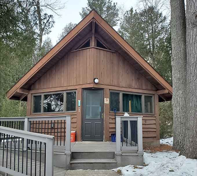 Cozy cabins offer four walls and a roof for campers who prefer their nature with a side of actual shelter.