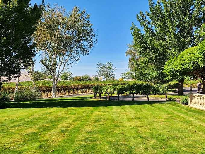 Perfectly manicured grounds that prove someone here really understands the art of creating beautiful spaces.