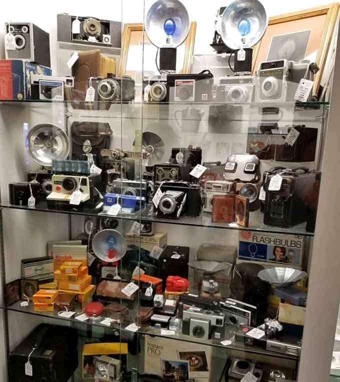 Vintage cameras lined up like soldiers, each one captured countless family memories in their prime.
