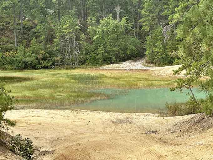 Another perspective, another shade of turquoise, because this lake refuses to look ordinary from any angle.