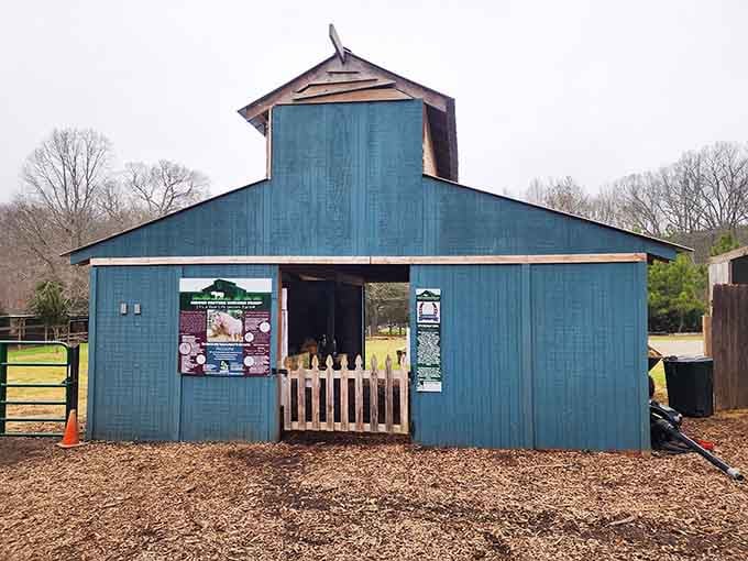 The charming blue barn serves as headquarters for all things magical, whimsical, and utterly delightful here.