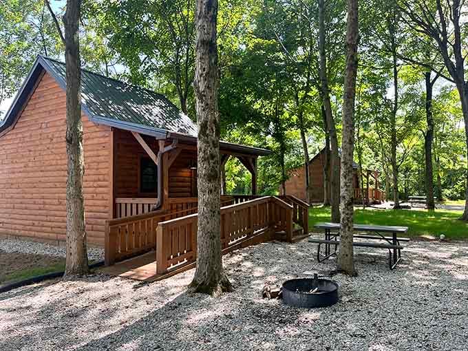 These cozy cabins nestled among towering trees offer the perfect escape for folks who appreciate nature with indoor plumbing included.