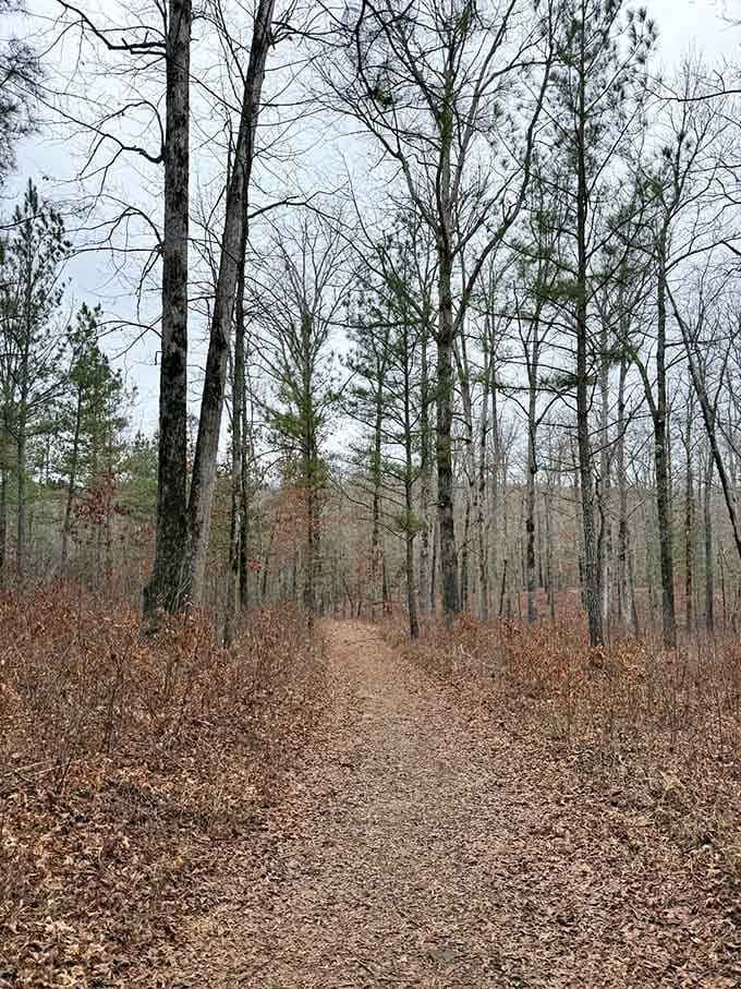 The winter trail shows its bare bones, proving this place has beauty in every season imaginable.