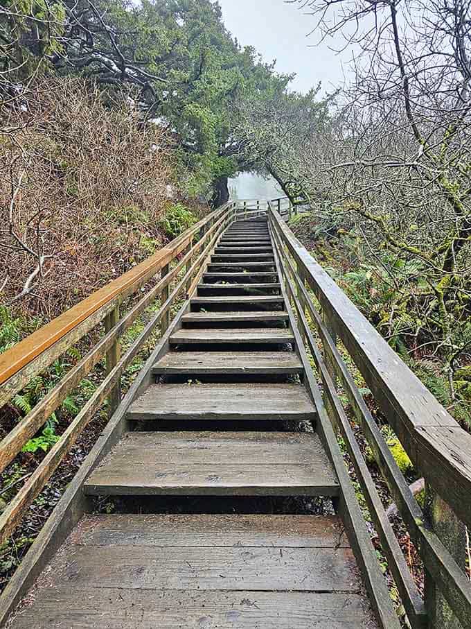 These weathered wooden steps descend through coastal forest like a stairway to paradise, each plank bringing you closer to sandy bliss.