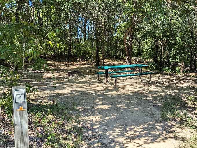 Campsites tucked into the woods offer that perfect balance of nature and convenience for weekend warriors and families.