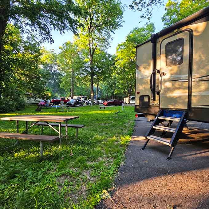 Campgrounds with this much shade and space make roughing it feel more like a luxury woodland retreat experience.