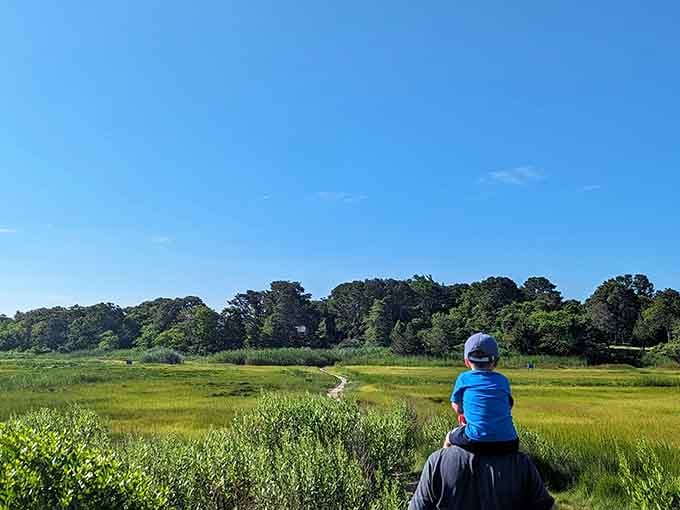 Families can tackle this trail together, creating memories without requiring anyone's personal sherpa.
