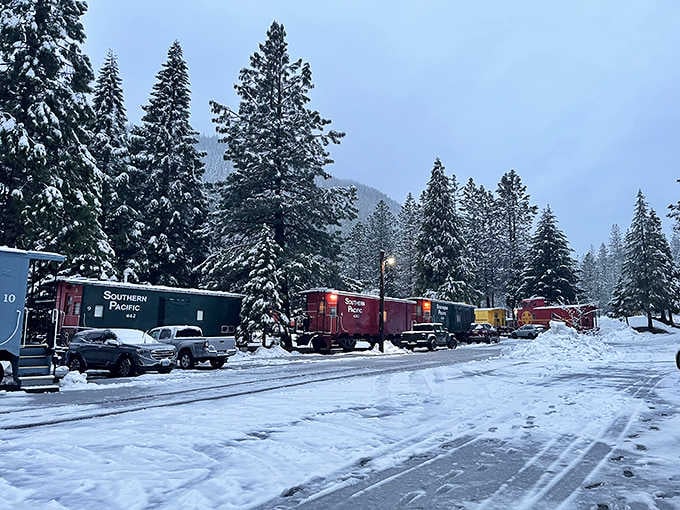 Snow-covered cabooses look like they're waiting patiently for spring, just like the rest of us.