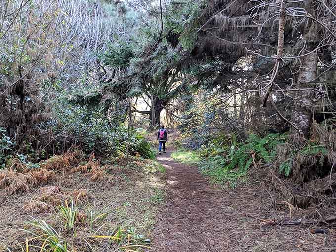 The trail ahead promises adventure, education, and the kind of peace you can't download from an app.