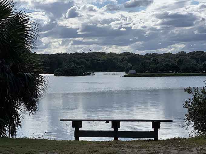 Lakeside benches positioned perfectly for contemplating life's mysteries or just watching the water do absolutely nothing, both equally valid.