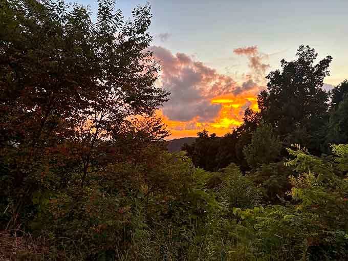 Golden sunset paints the sky in colors that would make any professional photographer weep with joy.