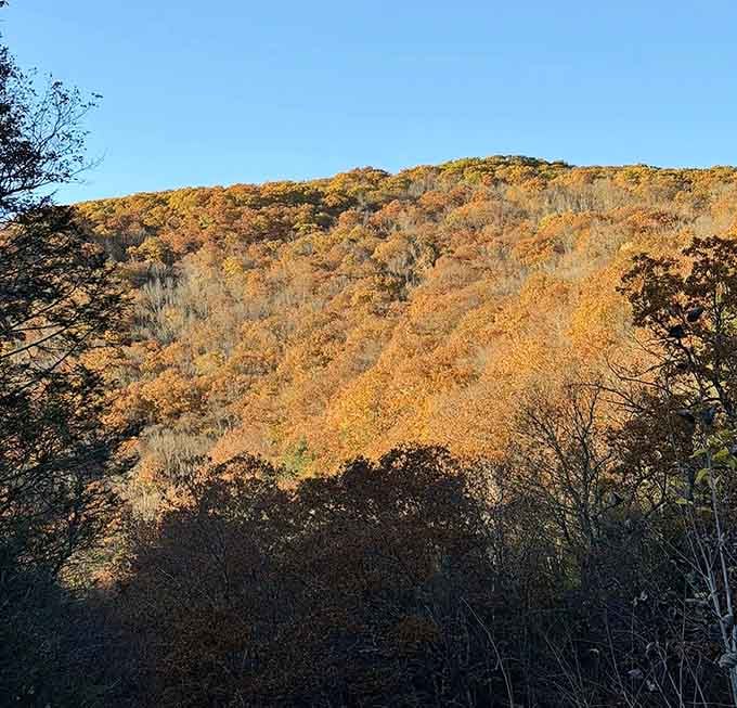 Autumn hillsides painted in gold and amber prove New England still owns fall foliage rights.