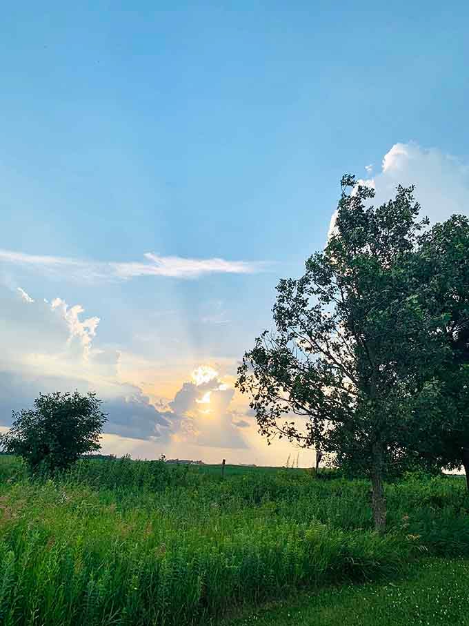 Evening light breaks through dramatic clouds, painting the prairie in colors no camera quite captures perfectly.