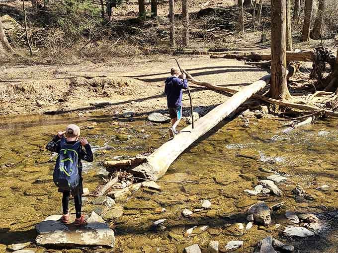Young adventurers navigate the log bridge like tightrope walkers, turning a simple creek crossing into childhood magic.