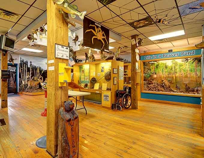 The Exchange Nature Center at Neuseway showcases local wildlife and ecosystems in displays that educate without lecturing.