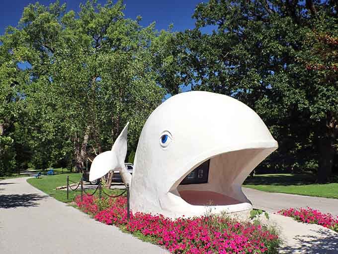 Willie the Whale proves Kokomo has a sense of humor about being landlocked in central Indiana.