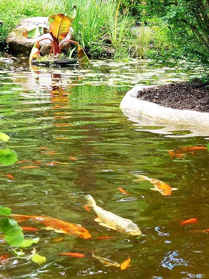 Koi fish gliding through crystal water, living their best life while you're stuck checking your phone notifications.