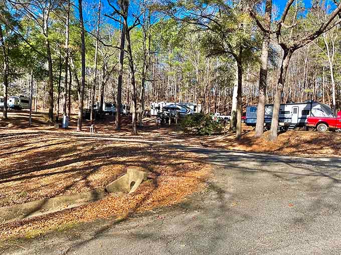 The RV campground offers spacious sites among the trees—civilization meets nature without the usual camping compromises.