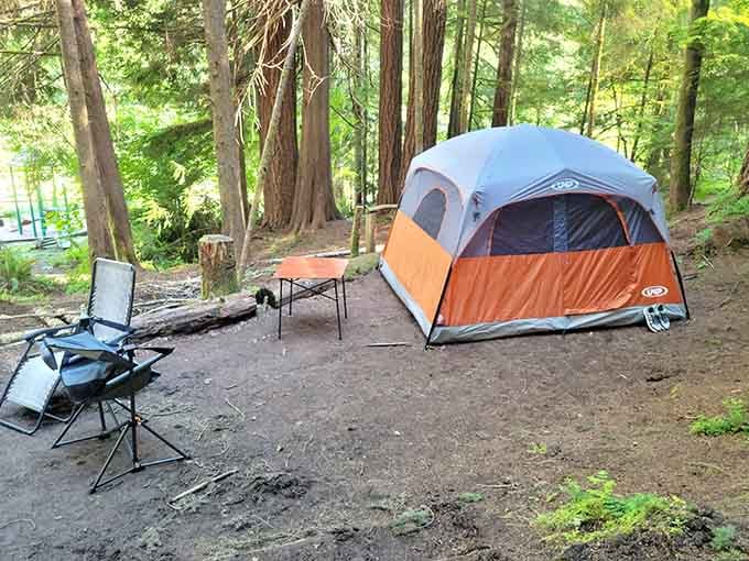 Your tent nestled among towering trees feels like summer camp, minus the awkward talent show performances.