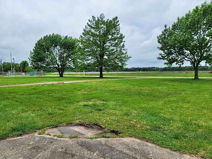 Wide open spaces offer room to run, play, or just lie down and watch clouds like you did before responsibilities.